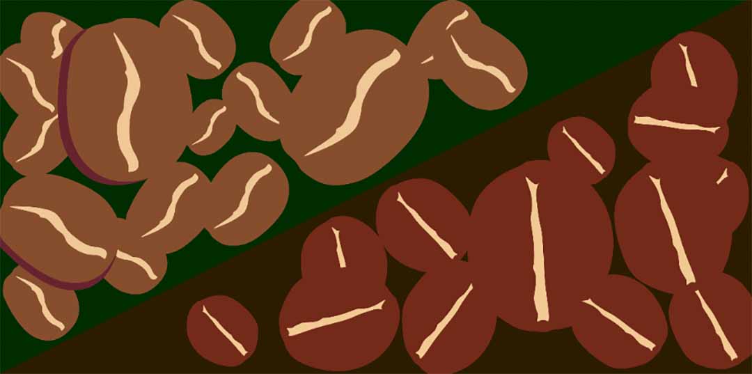 Arabica vs. Robusta Coffee: A Complete Bean Guide – SF Bay Coffee