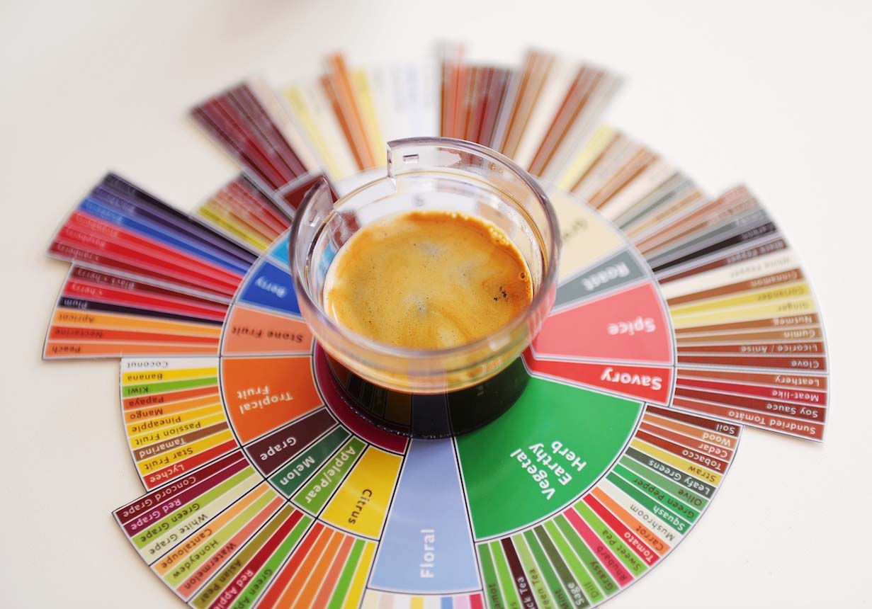 Master the Art of Coffee Cupping: A Beginner's Guide
